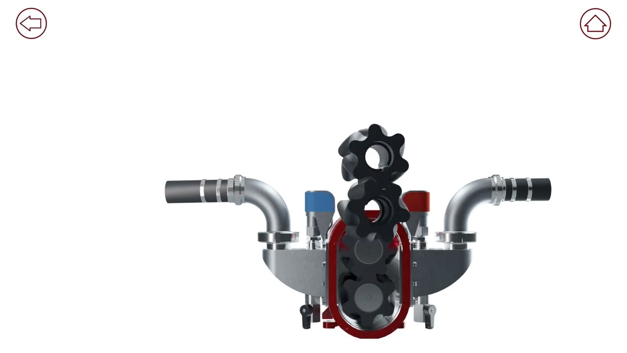 Operating principle of the helical lobes pump Oenopompe® - YouTube