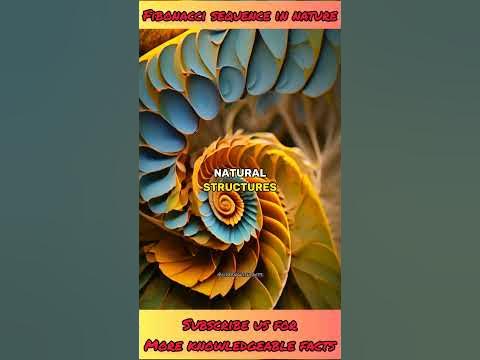 Weird & Mathematical Mystery with Endless Fascination - YouTube