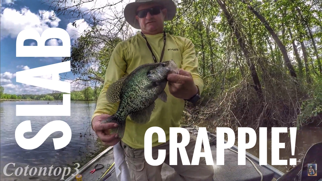 Crappie fishing- catching huge slabs on the Tombigbee river, Columbus ...