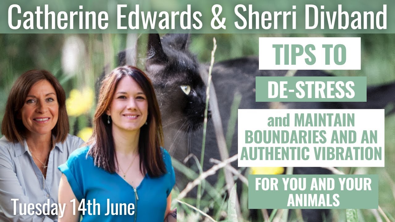 Sherri Divband & Catherine Edwards:Tips to De-Stress, Maintain Boundaries and An Authentic ...