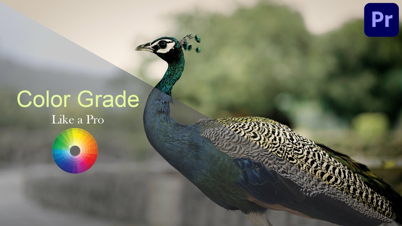 How To Color Grade || S Log 2 Footage || In Premiere Pro Tutorial 2025 ...