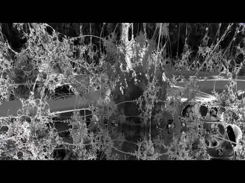 3D Fractal Matrix Unity / VRC Shader - YouTube