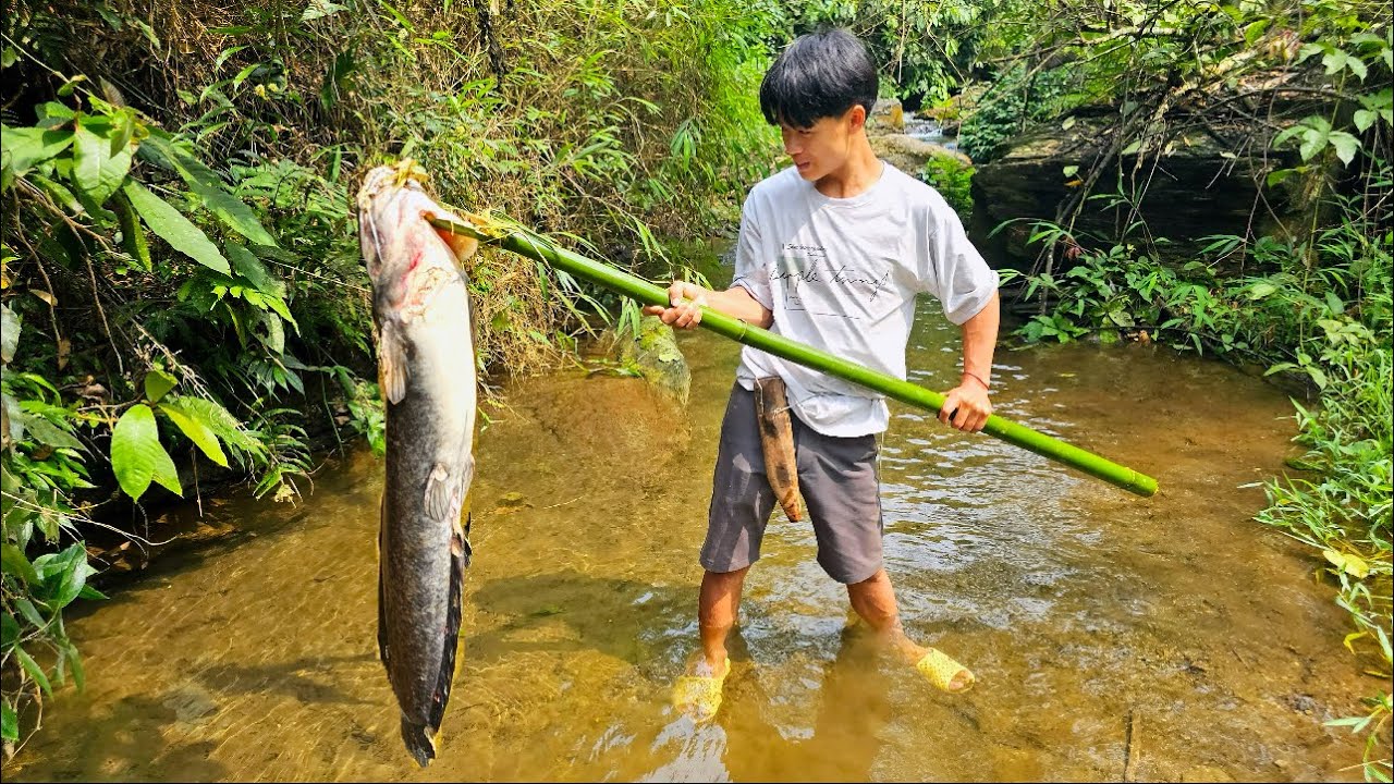 Homeless: homeless boy uses his bare hands to catch fish and grill fish ...