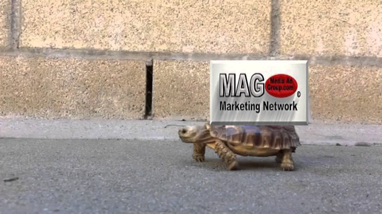 MAG Marketing Network's New Mascot - YouTube