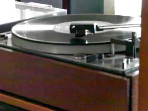 The evening primrose dancing - YouTube