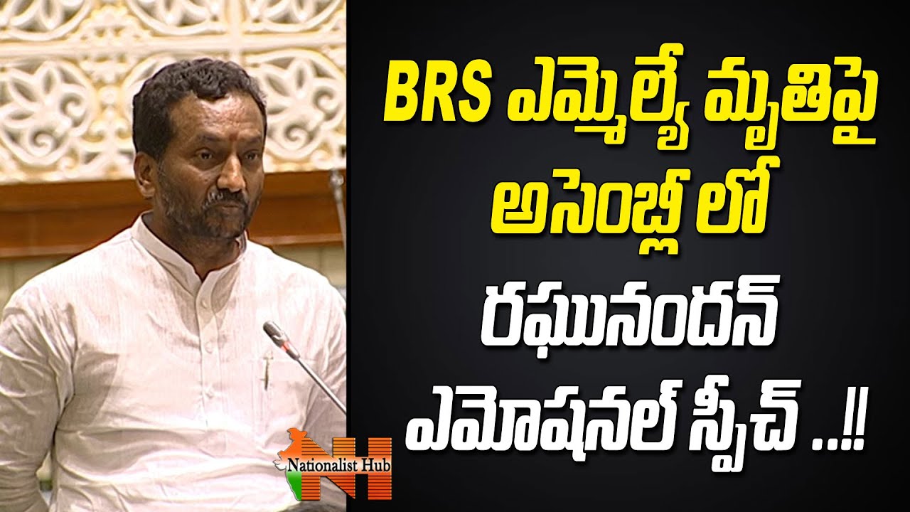 BJP MLA Raghunandan Rao Speech About BRS MLA In Telangana Assembly ...