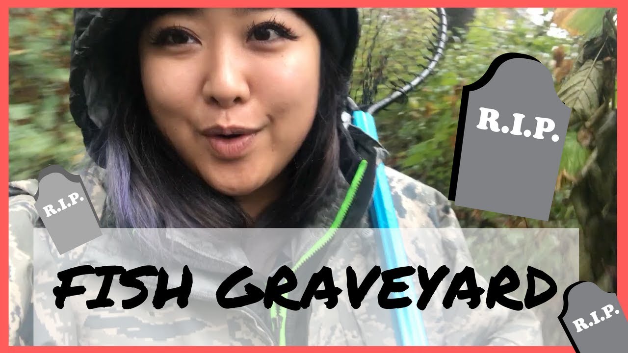 Fish Graveyard | Fishing Vlog! - YouTube