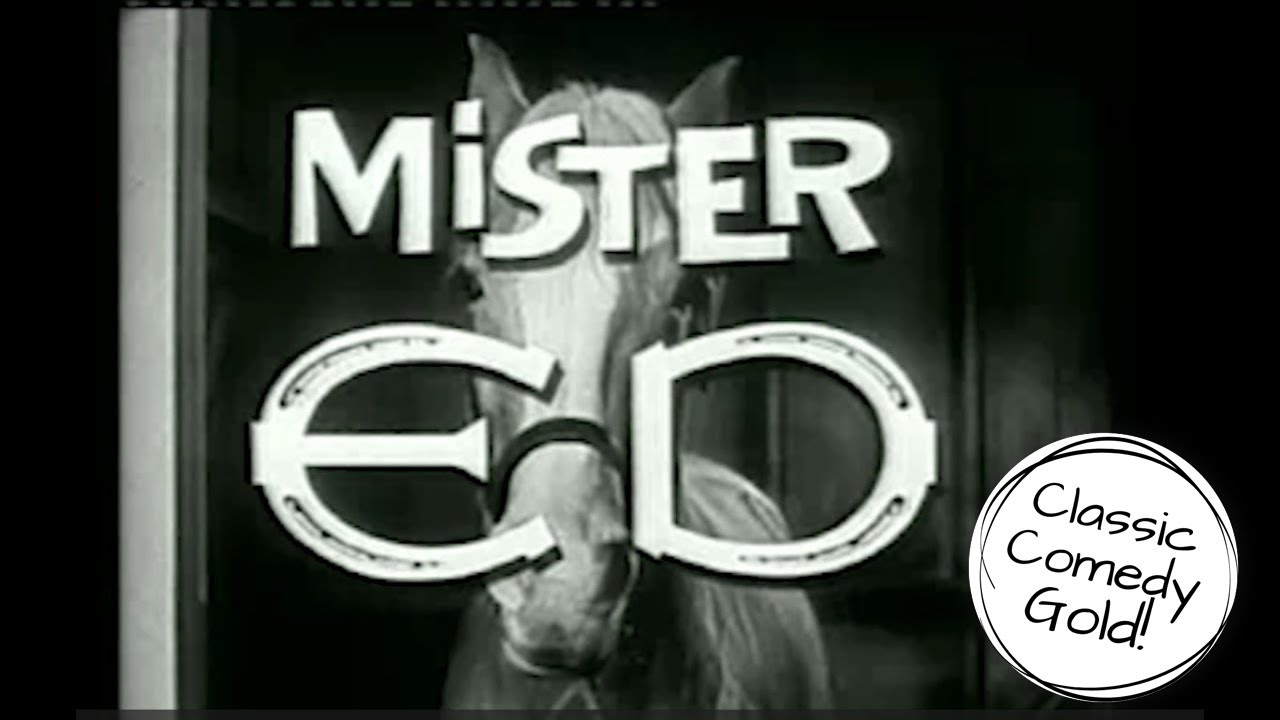 Mr Ed, Wilbur Gets the Message | Classic TV - YouTube