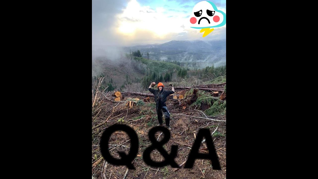 Logger Q&A - YouTube