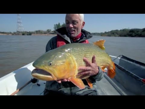 Jeremy Wade #monstruosderío (Dorado)Pirayú video de Monstruos de río # ...
