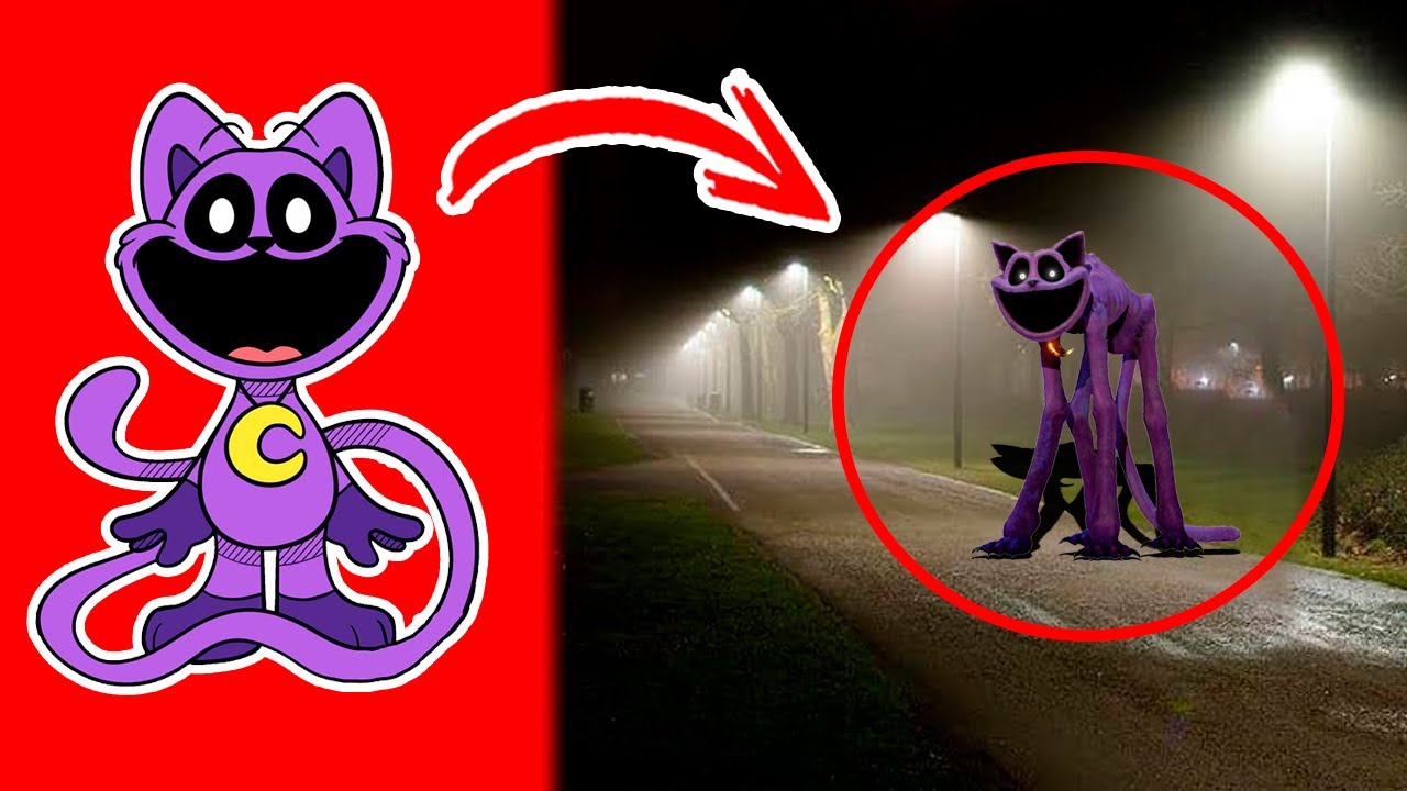 10 CAT NAP Reales Captados en CÁMARA en la Vida Real - YouTube