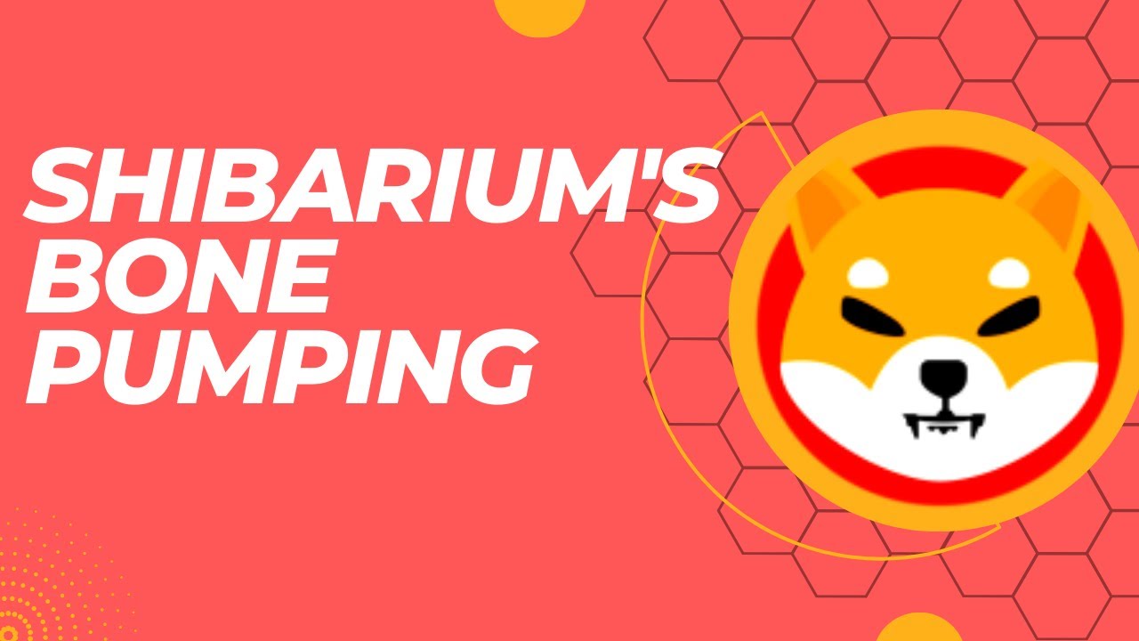 Shibarium's BONE Pumping: SHIBA INU - YouTube