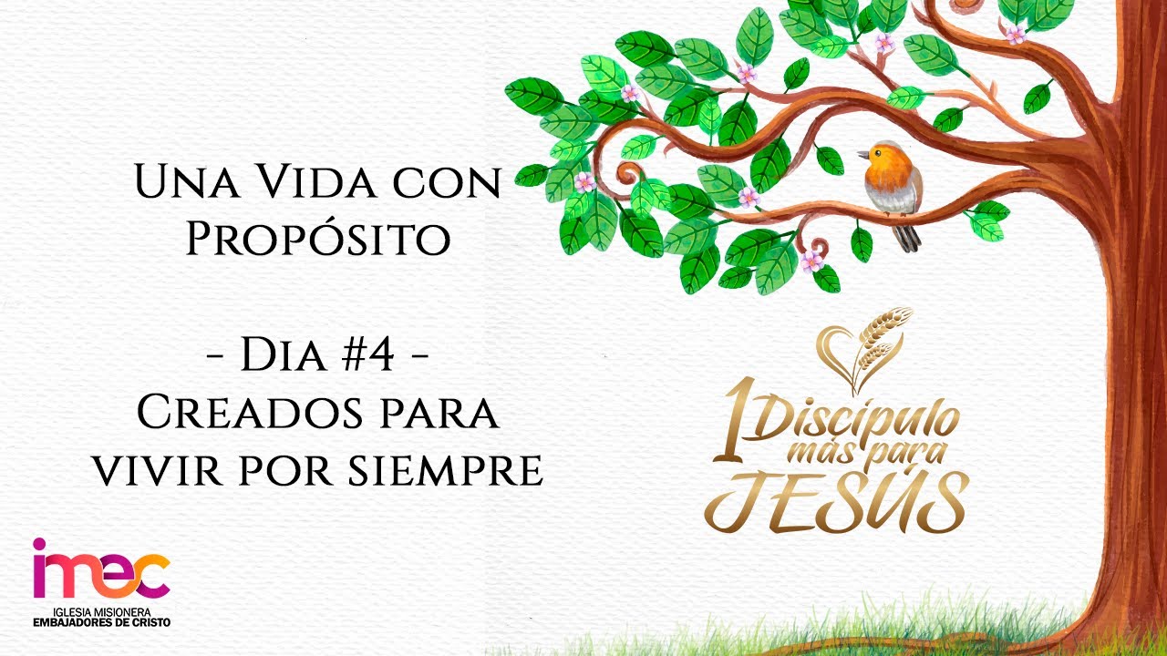 40 DÍAS CON PROPÓSITO Día#4 - Creados para vivir por siempre -UN ...