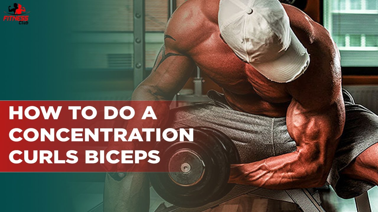How To Do A Concentration Curls #Biceps | Arm Workout | Biceps ...