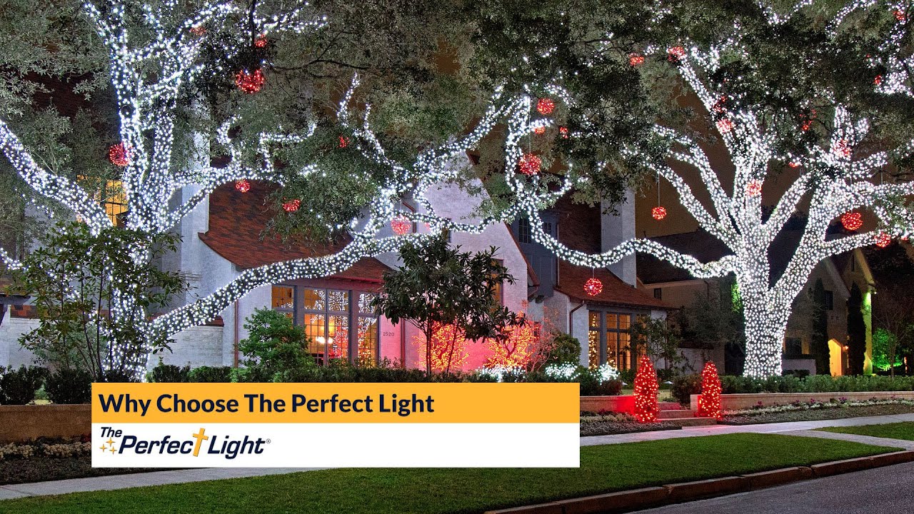 Why Choose The Perfect Light - YouTube