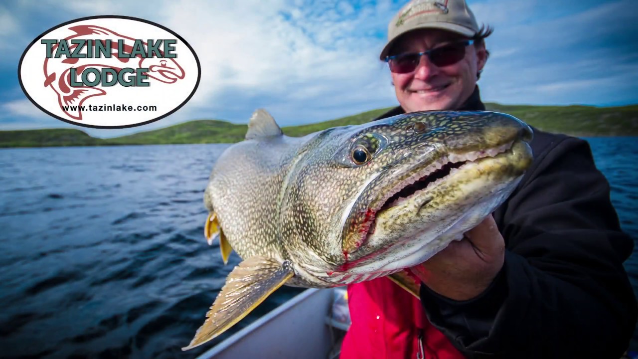 Monster Lake Trout Fishing Tips - YouTube