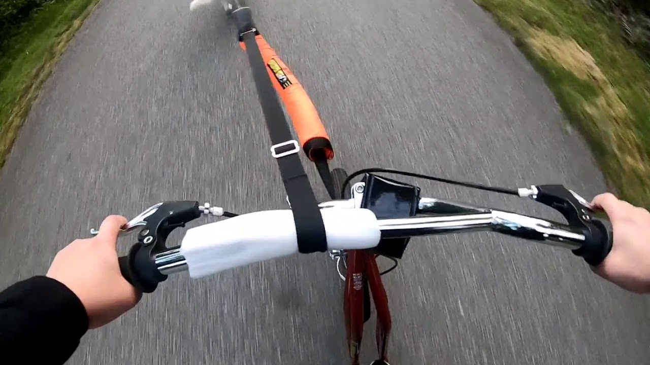 Urban Mushing - Day 1 - YouTube