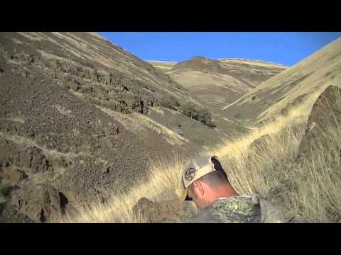 Oregon Bighorn Sheep Hunt 2014 - YouTube