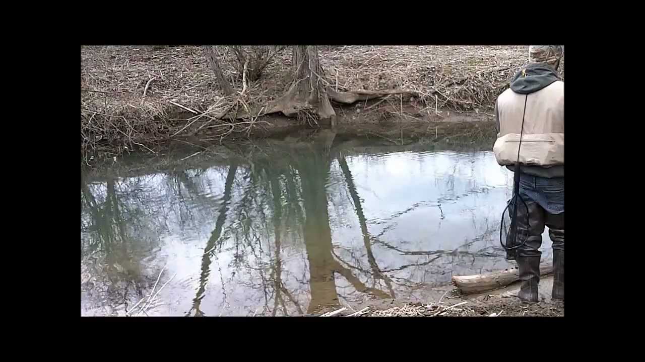 PA Delayed Harvest Trout Fishing 2013 - YouTube