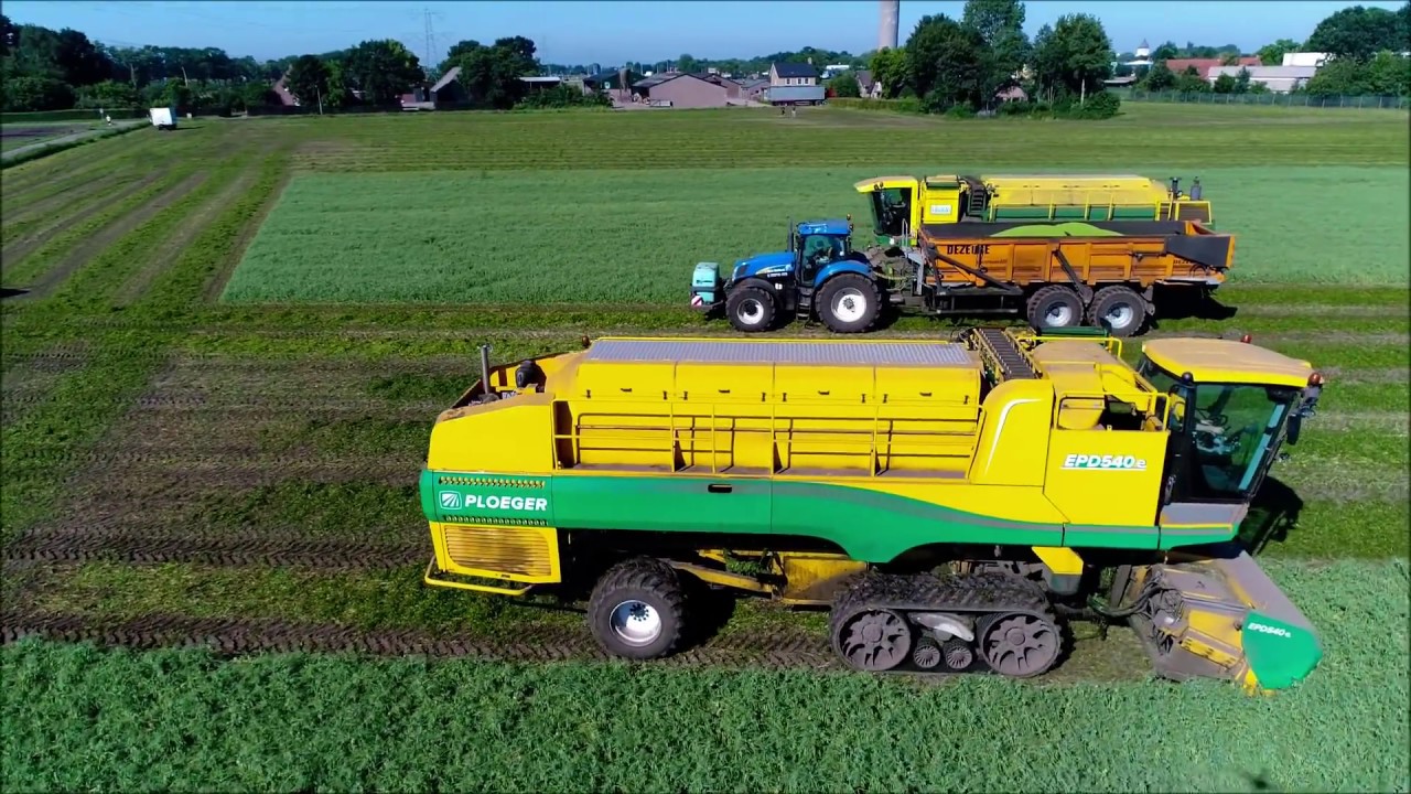 Erwten dorsen / Pea harvest / Erbsenernte / Ploeger / Dezeure / New ...