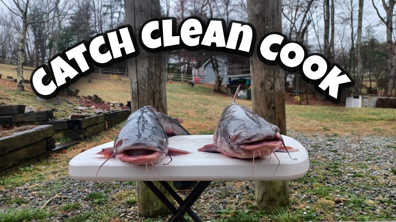 Catfish Catch Clean & Cook How to Make An Awesome Dinner.. - YouTube