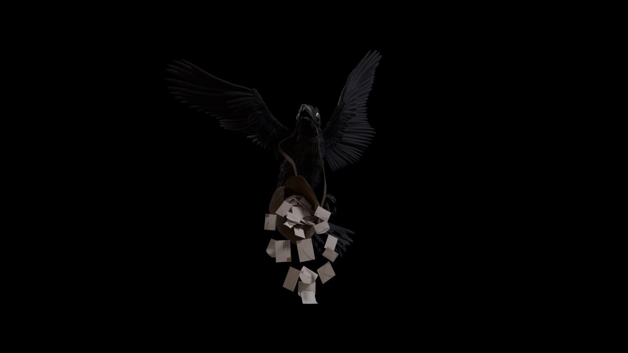 Bird_Turnaround - YouTube