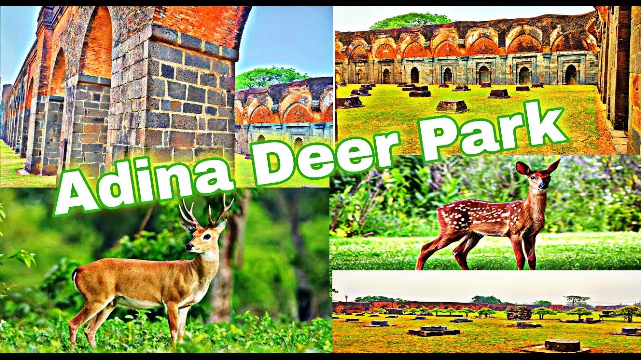 Adina Deer Park Vlog...... Malda Tourism Places. - YouTube