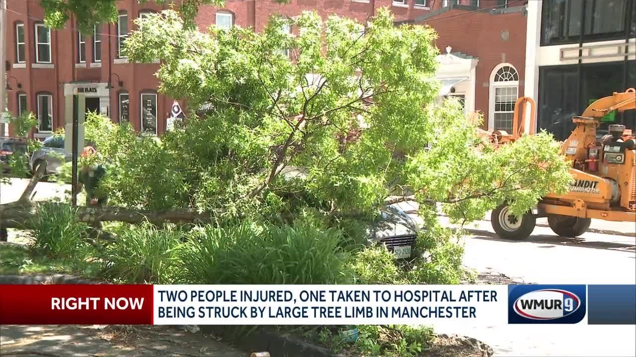 2 injured when tree limb falls on them - YouTube