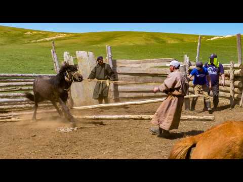 Spring in Mongolia: A Story of Life with 3 Nomad Families 🐎 #documentary #nomadiclife