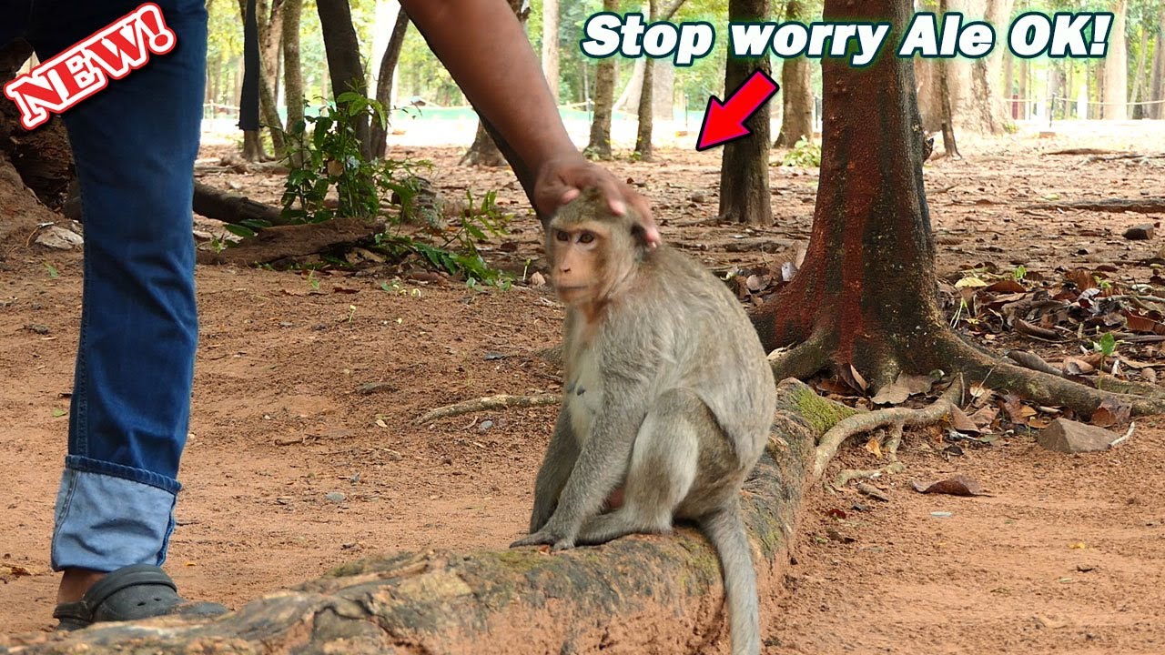 Don't s-uffer worry about baby Ale,Angel she will be back soon! Man ...