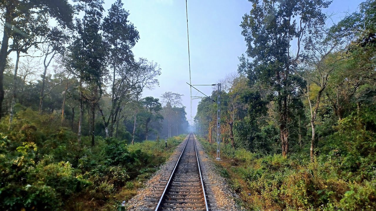 New Jalpaiguri to Hasimara Train Journey on Vista Dome - II - YouTube