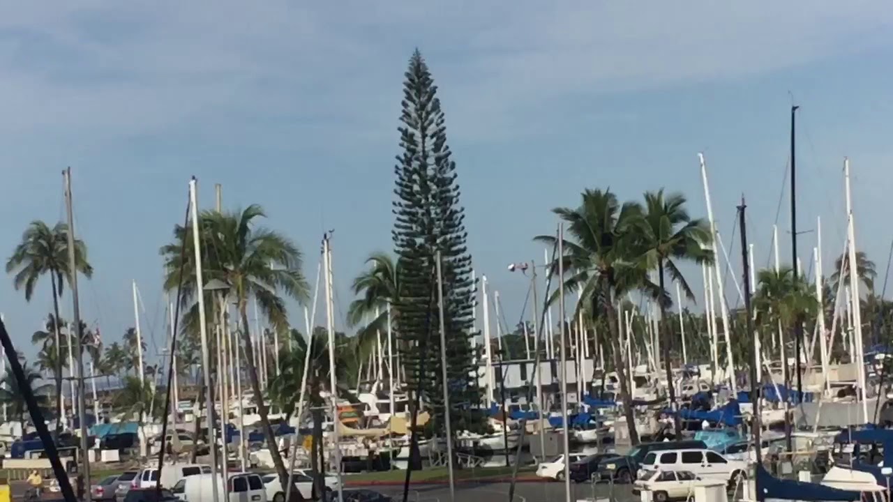 Filming Hawaii Five-O at Waikiki Honolulu - Part 6 SWAT team Redo - YouTube