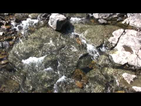 The Prodigal Font - YouTube