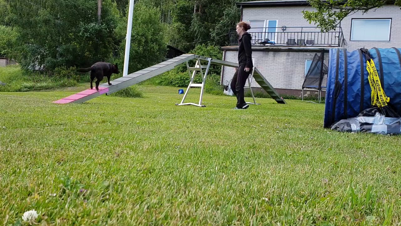 Kira running contacts training 3/7-2018 - YouTube