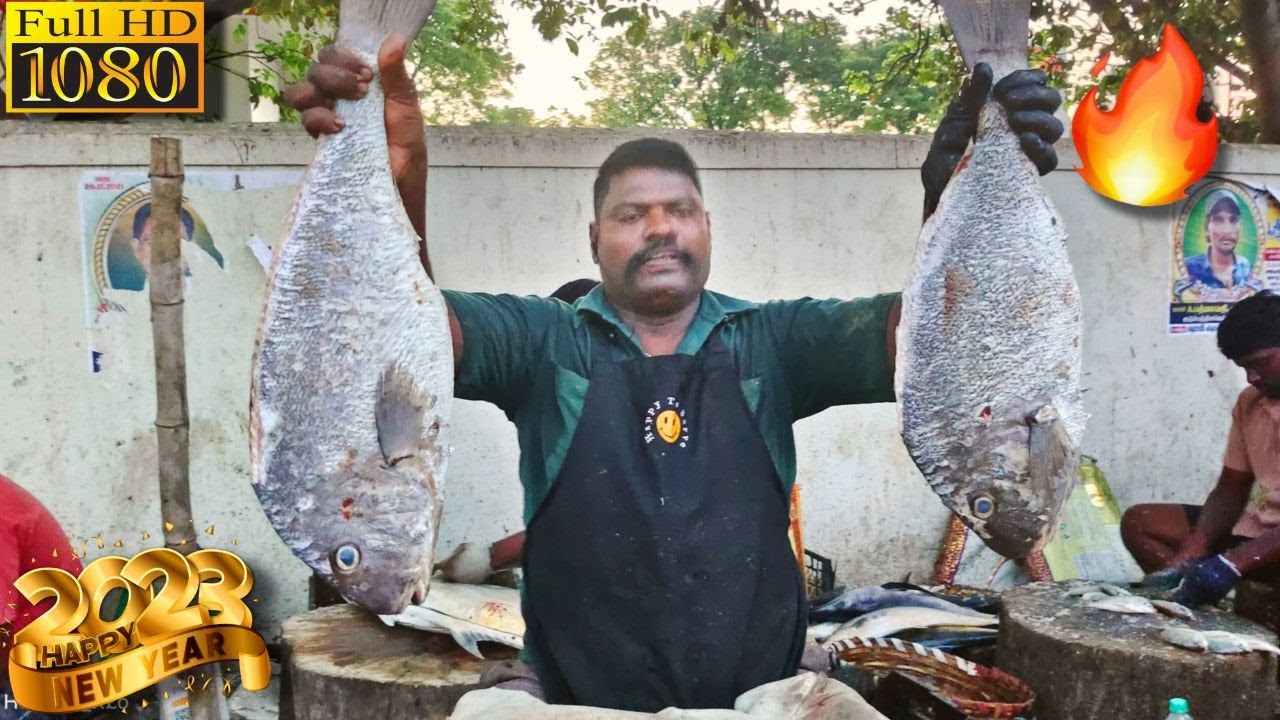 KASIMEDU 🔥SPEED SELVAM | FISH CUTTING🐟 | FISH CUTTING SKILL | KASIMEDU ...