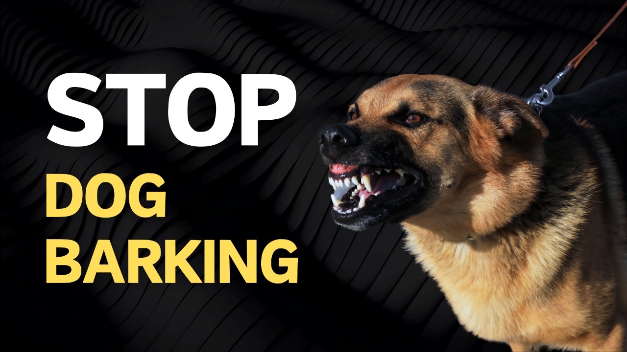 Sound To Stop Dogs Barking | Anti-Barking Sound for Dog Discipline ...