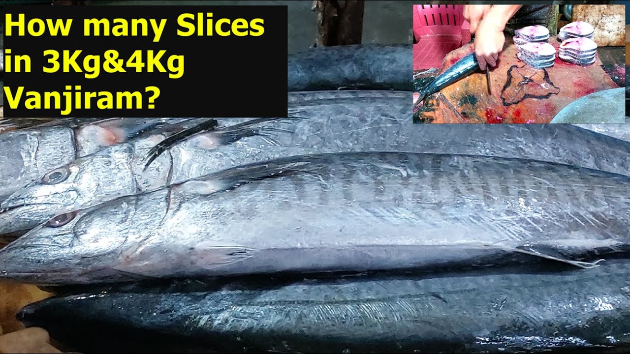 3கி/4கி வஞ்சரம் மீன் கட்டிங் எத்தனை துண்டுகள்||Vanjaram fish|| - YouTube