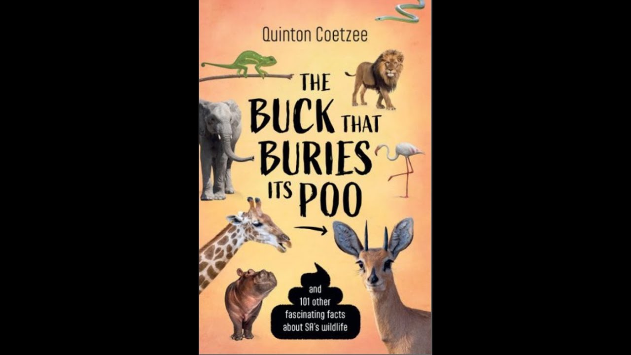 In conversation with Quinton Coetzee about his new book - YouTube