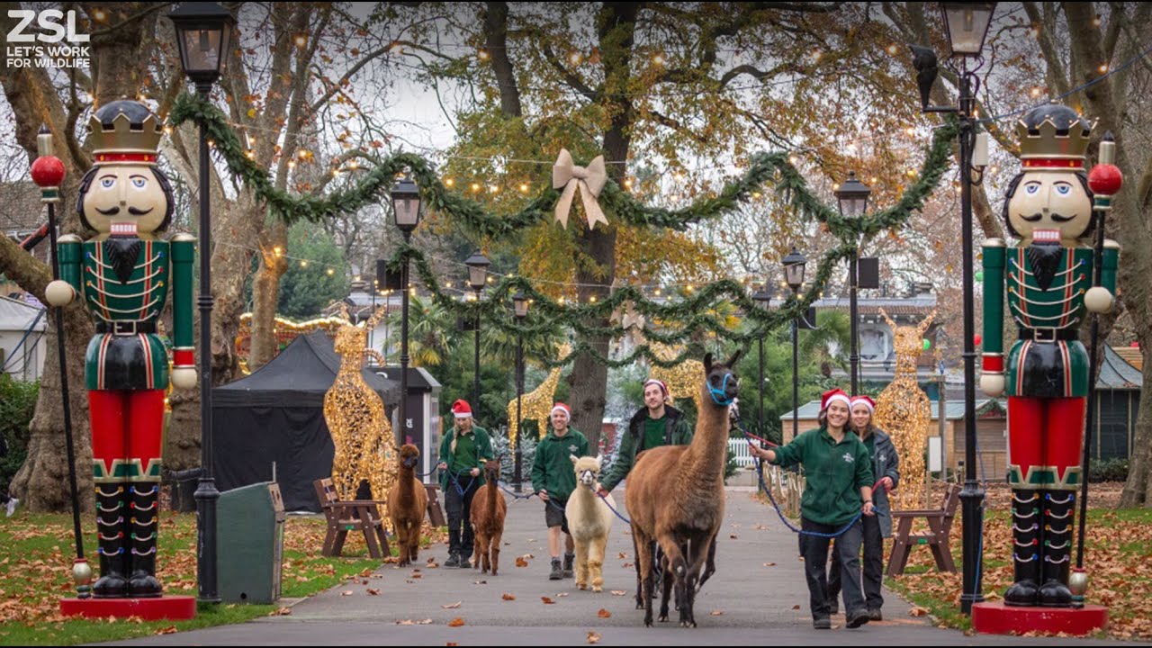 Season’s Greetings from ZSL! - YouTube