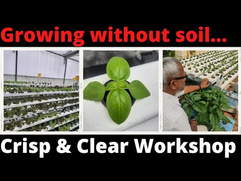How to Learn Soil-less Farming/ Hydroponics In Two And Half Hours ...