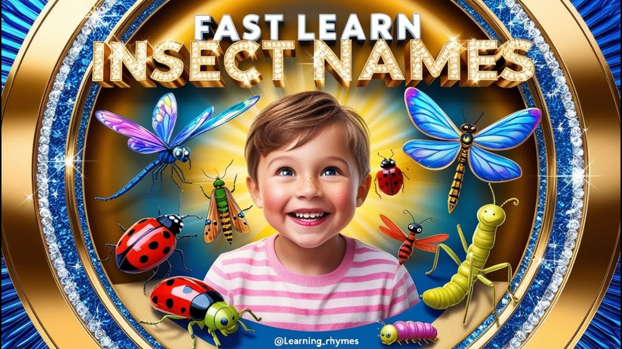 Learn Insect Names with Spelling | Fun Educational Animation for Kids ...