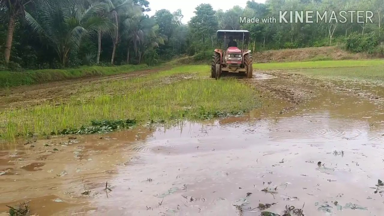 ಆಧುನಿಕ ಗದ್ದೆ ಉಳುಮೆ ಮಾಡುವ ವಿಧಾನ.... Modern field plowing method - YouTube