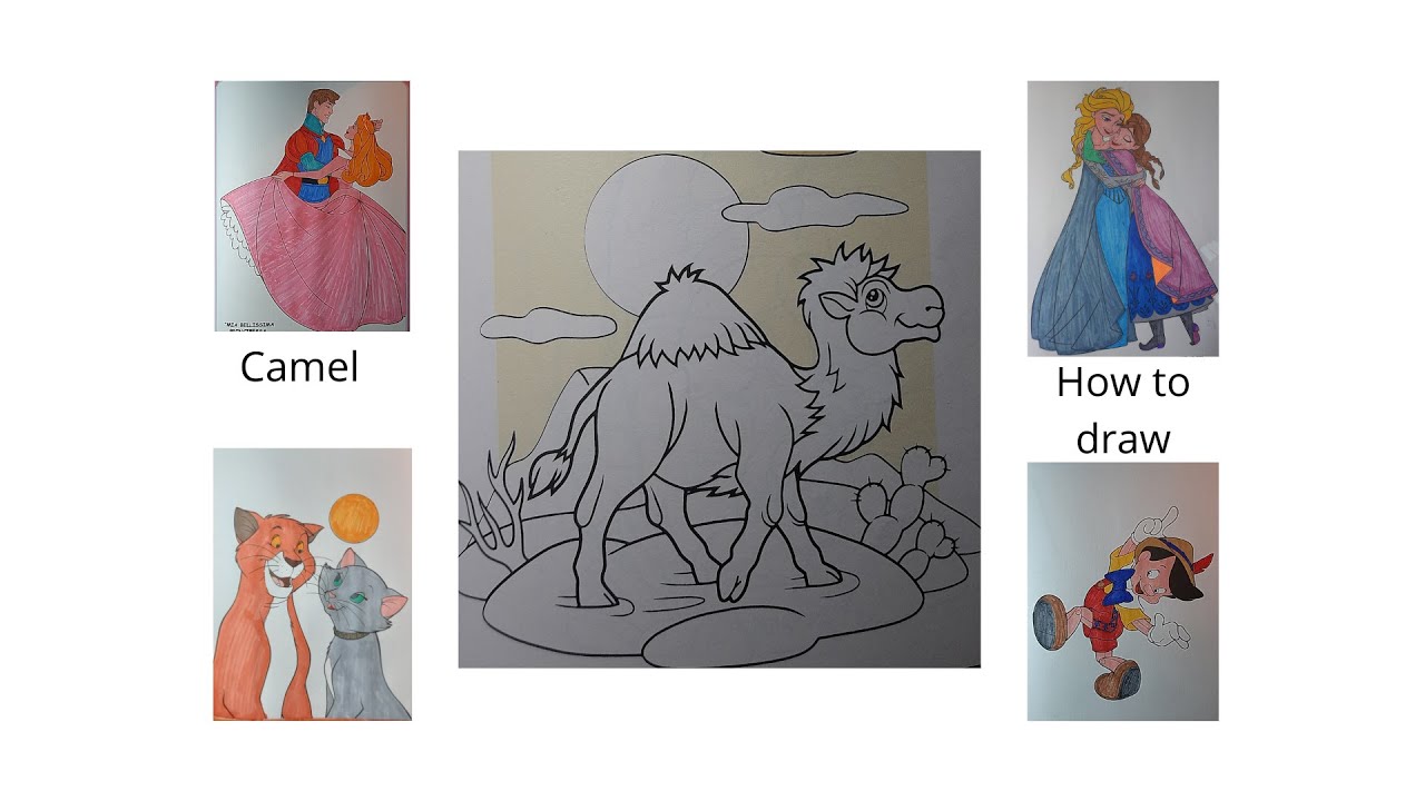 How to draw a Camel 23-2 (black and white) DIY Teach children to draw ...