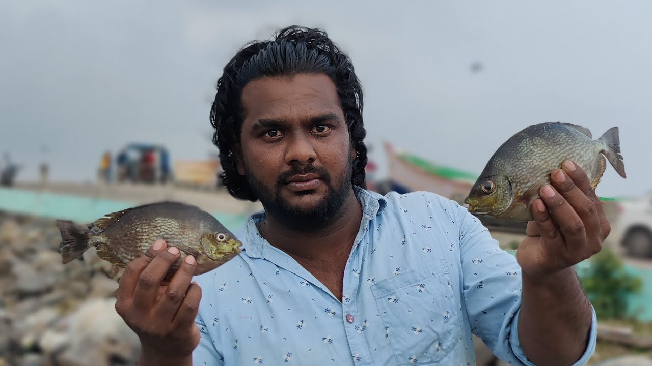 OORA fish catching n4 beach with lemon rice food feeding - YouTube