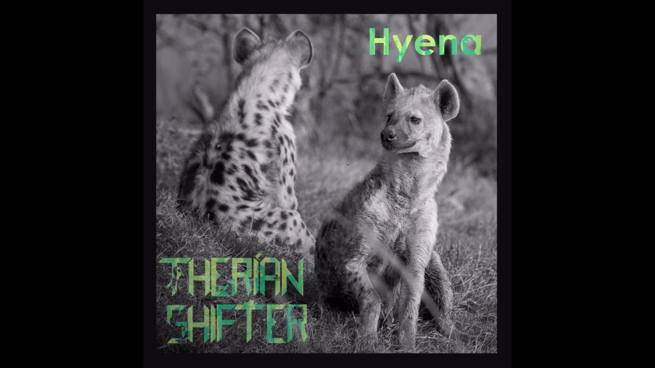 Therian Shifter - Hyena - YouTube