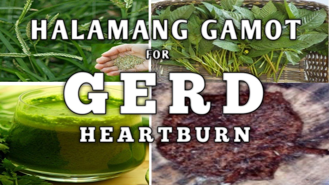 HALAMANG GAMOT AT NATURAL REMEDIES PARA SA HEARTBURN, GERD AT ACID ...