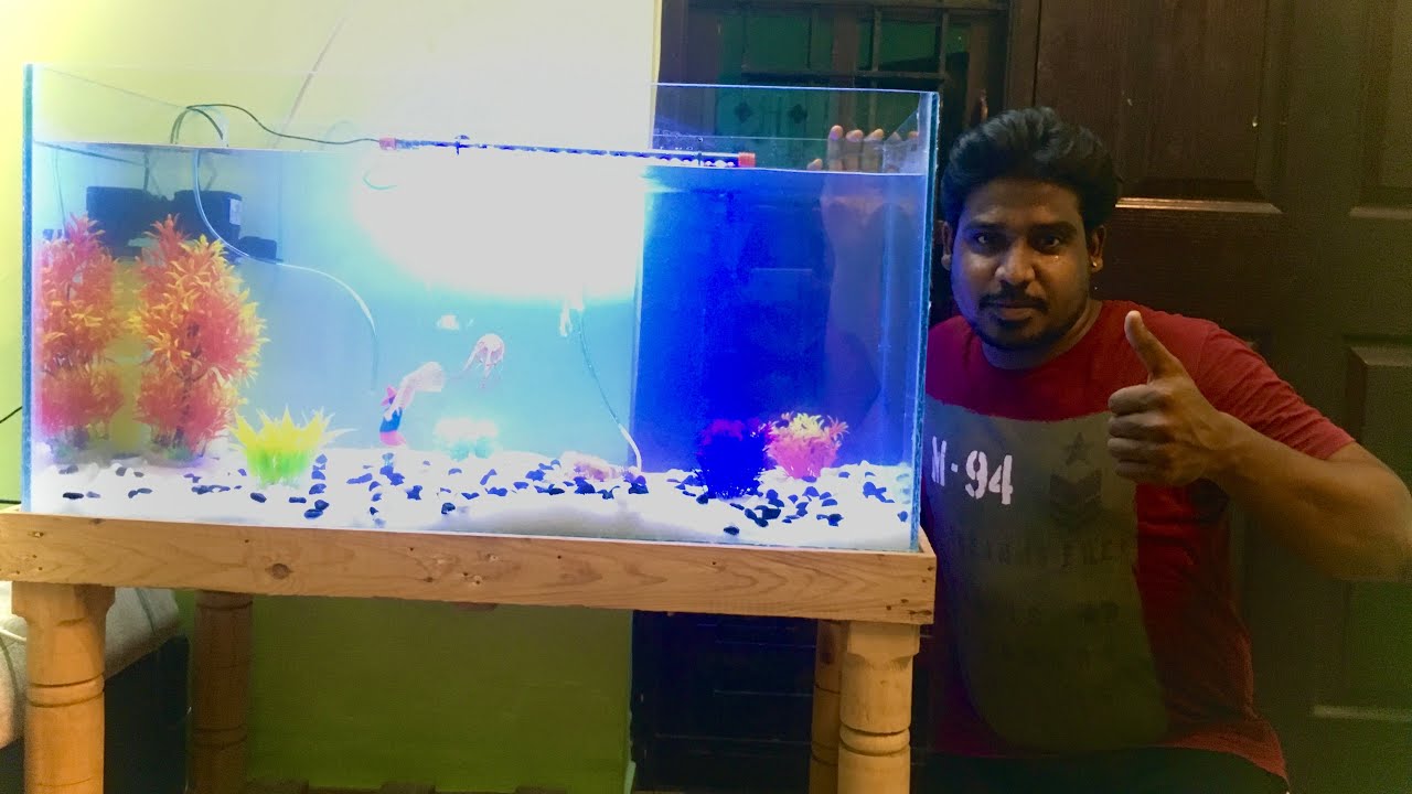 Exclusive 3 Feet Fish Tank 🐠 Setup For My Home Aquarium 🐠 Its My ...