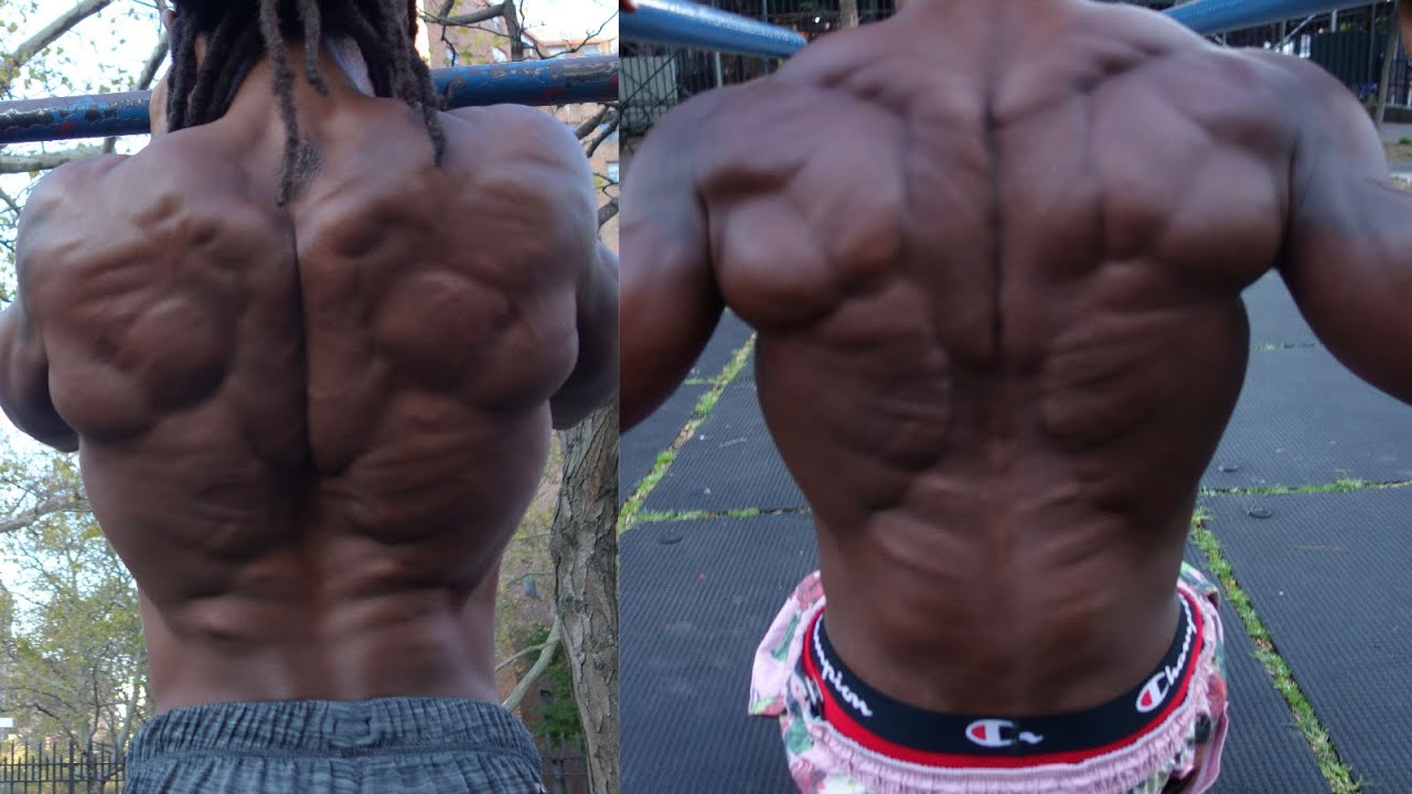 The Best Science-Based Back Workout (TARGET EVERY MUSCLE!) | That's ...