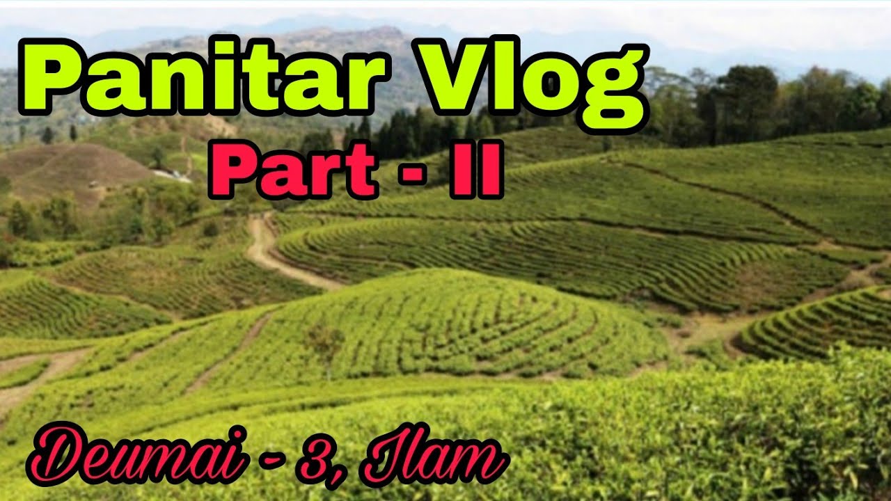 Panitar Tea garden || Part - II || - YouTube