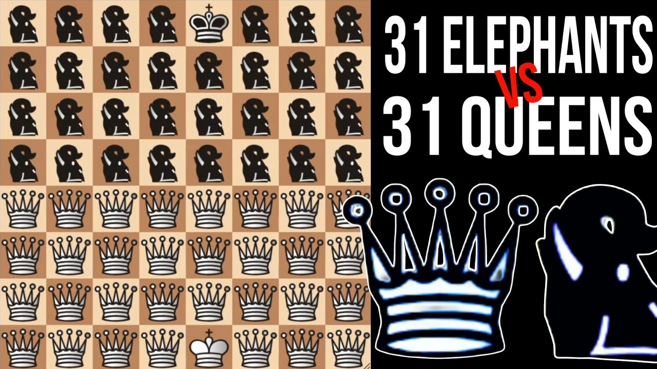 31 ELEPHANTS vs. 31 QUEENS - YouTube